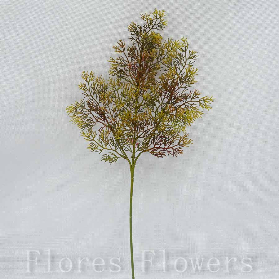 Konár tuja 58 cm – Flores Flowers